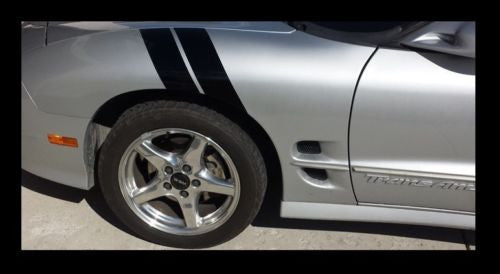 Trans Am Fender Flares